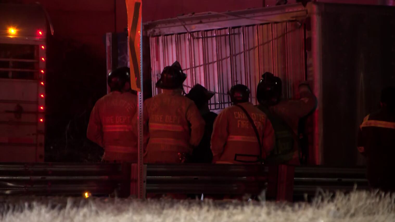 Truck hauling 40 cows flips; busy Charlotte interstate ramp reopened