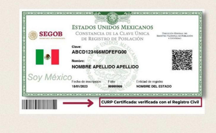 ¿El CURP Biométrico es obligatorio? Todo lo que tienes saber sobre este nuevo identificador ...