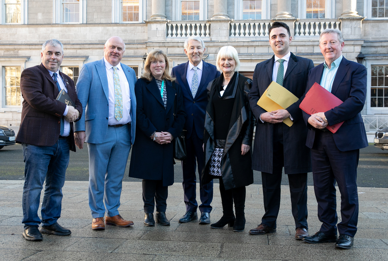 Explainer: All hell broke loose in the Dáil today - here's why