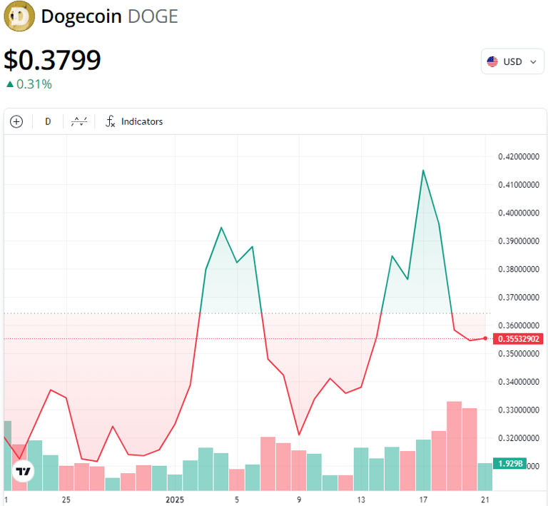 Musk’s DOGE agency launches official website with Dogecoin logo