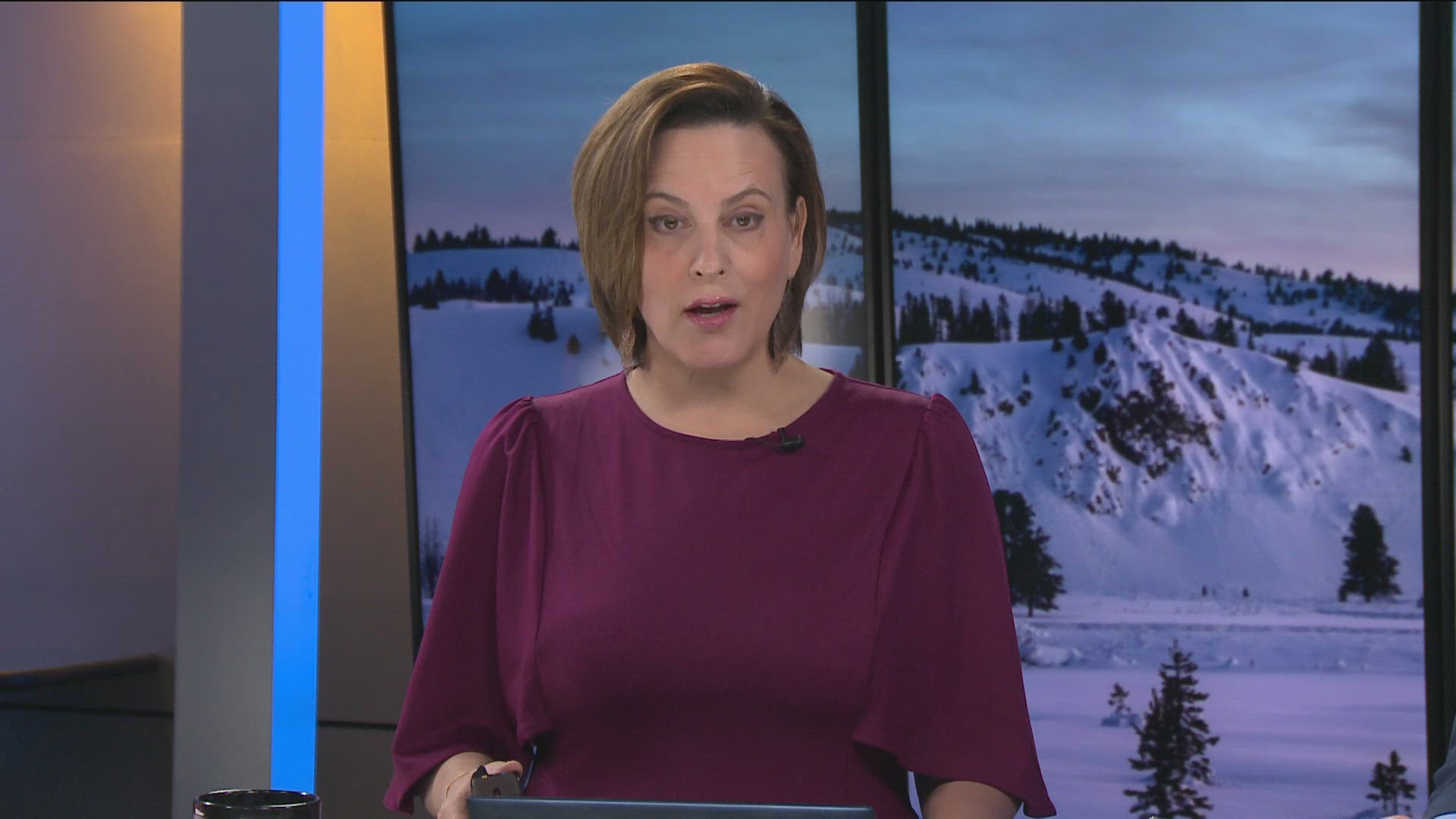 Trump suspends controversial Lava Ridge wind project