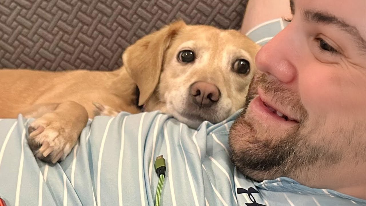 Dog Chooses Boyfriend Over Owner in Funny Twist