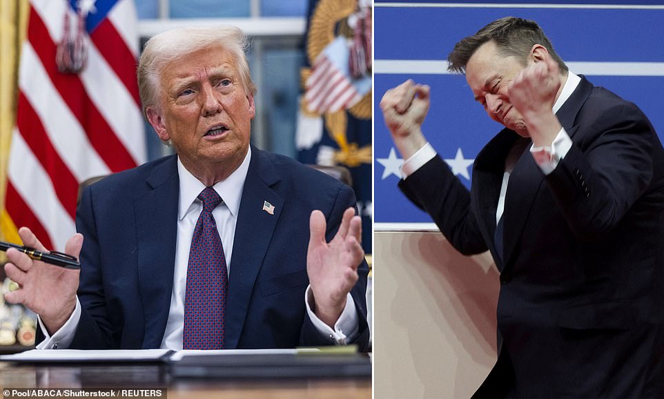 How Trump's DOGE is under threat of shutdown following lawsuit