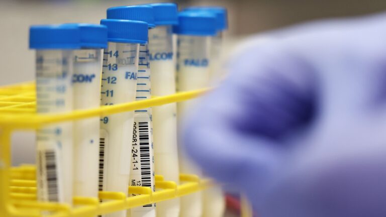 Bird flu now considered ‘widespread’ in Mass., officials say