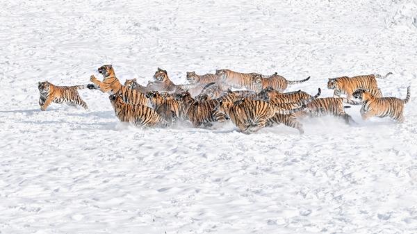 Donald Trump celebrates at Capital One Arena