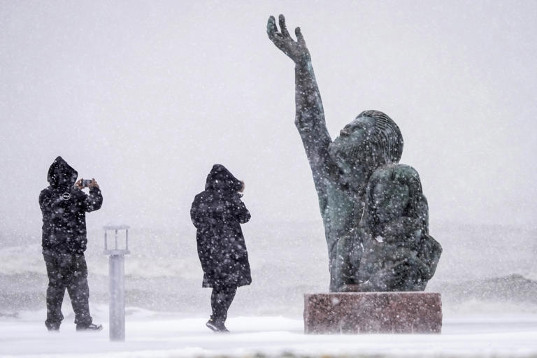 Rare Southern winter storm brings historic snow, halts travel in parts ...