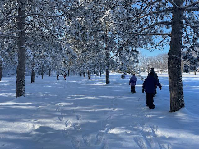 Bold & cold events in Owatonna