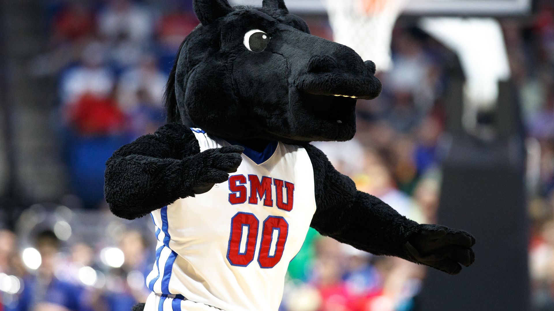 Louisville at SMU preview