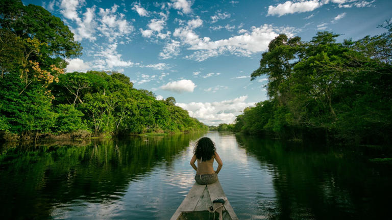 A beginner's guide to exploring the Amazon