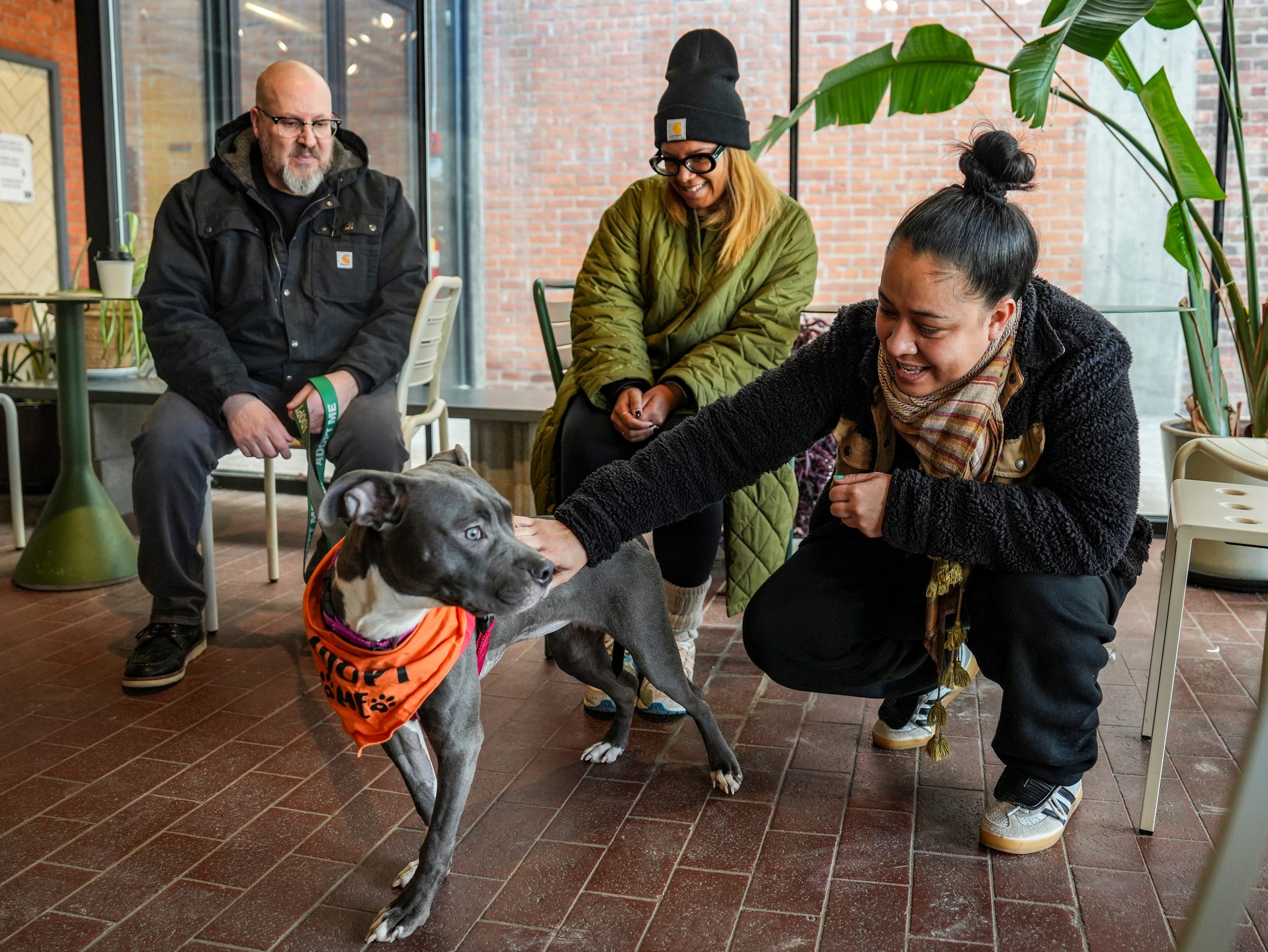 Detroit animal shelter: Take an adoptable dog out for the day. It's ...