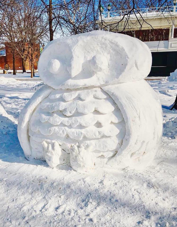 Bold & cold events in Owatonna