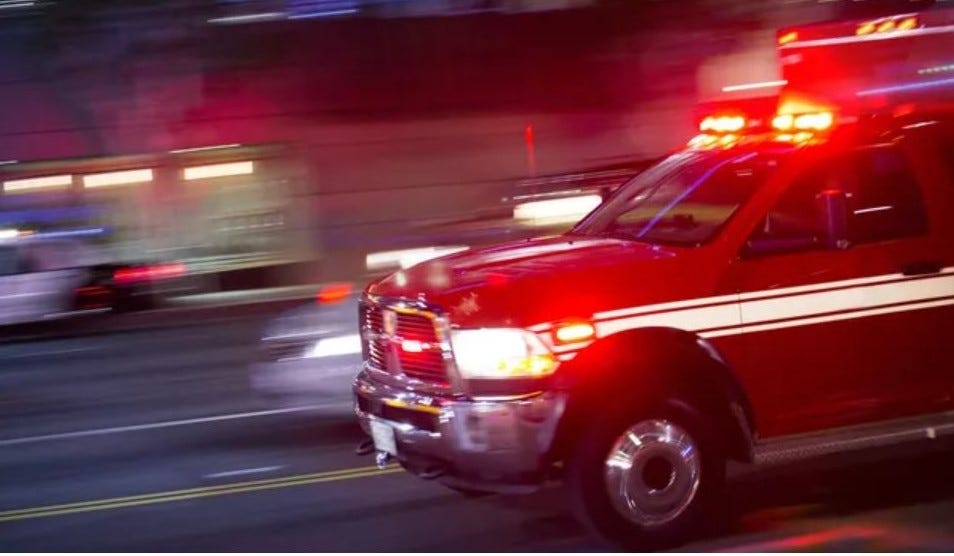 Adult killed and child seriously injured in horse-drawn buggy crash Aug ...