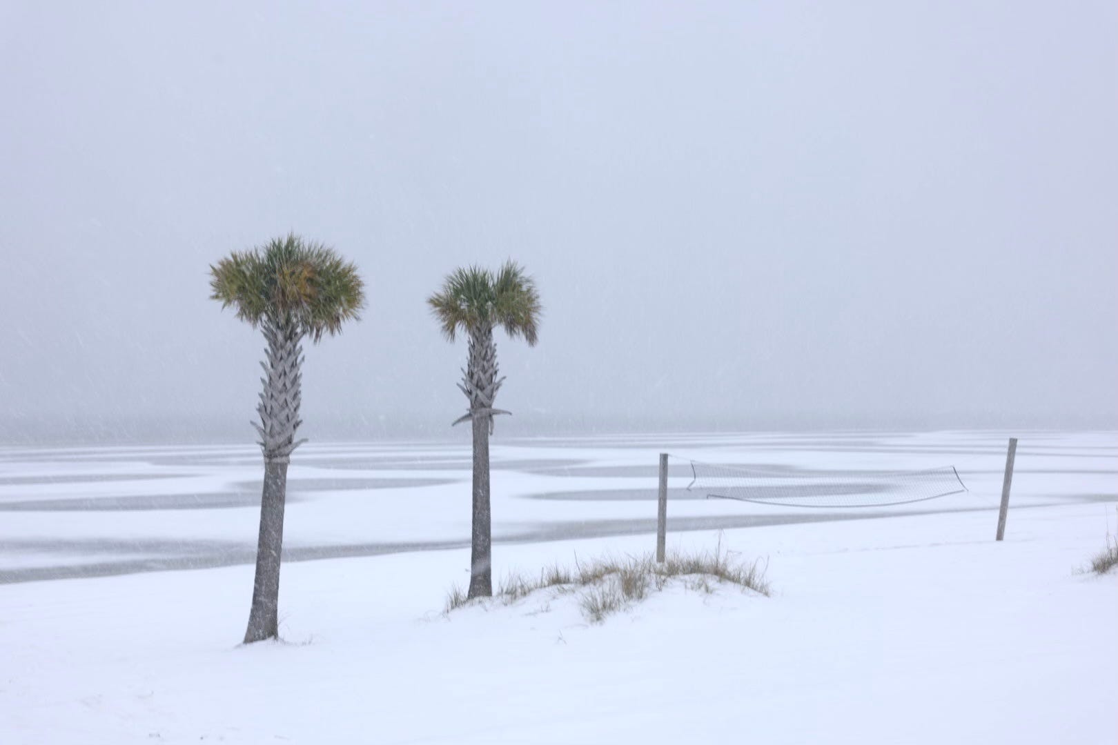 Did historic snow break records in Mississippi? Here's what we know ...