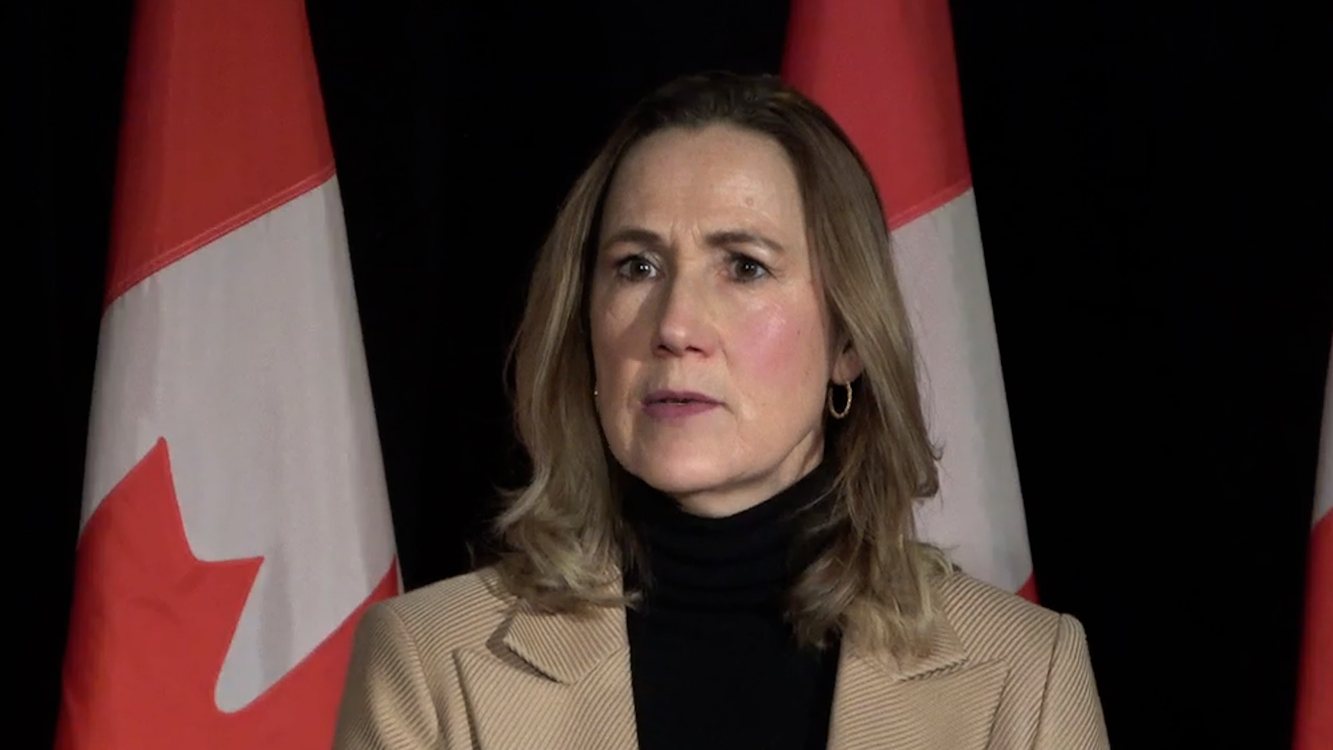 Trump's attack on Canada a distraction tactic, Canadian ambassador says