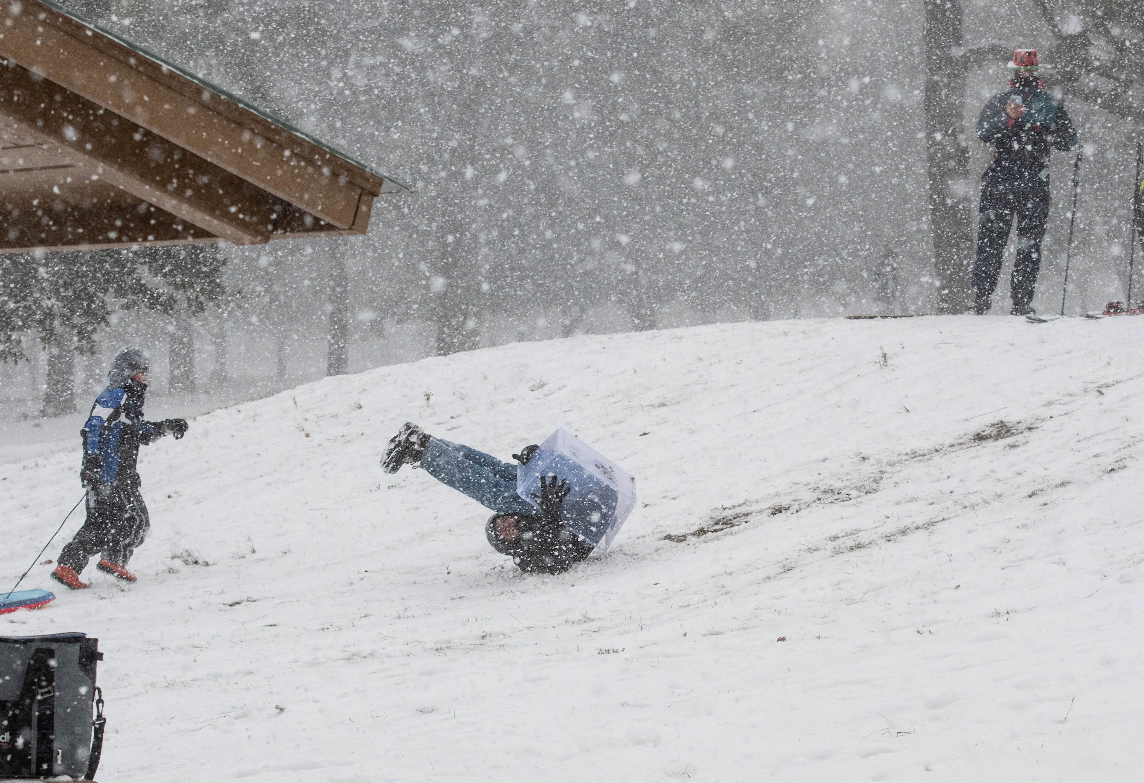 Will it get iguana-dropping cold in Florida this week? How about snow?