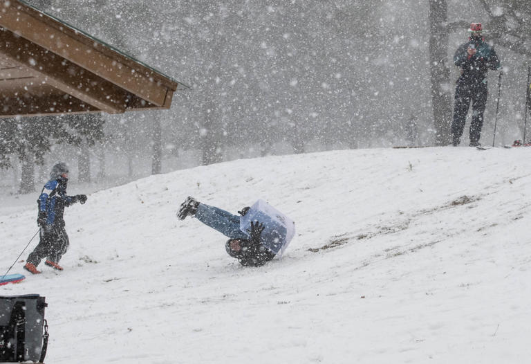 Will it get iguana-dropping cold in Florida this week? How about snow?