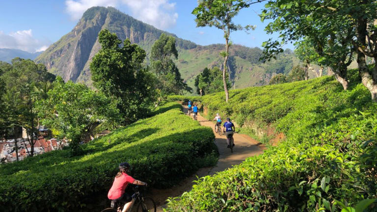 Private tours 101: Could a private tour be right for you?