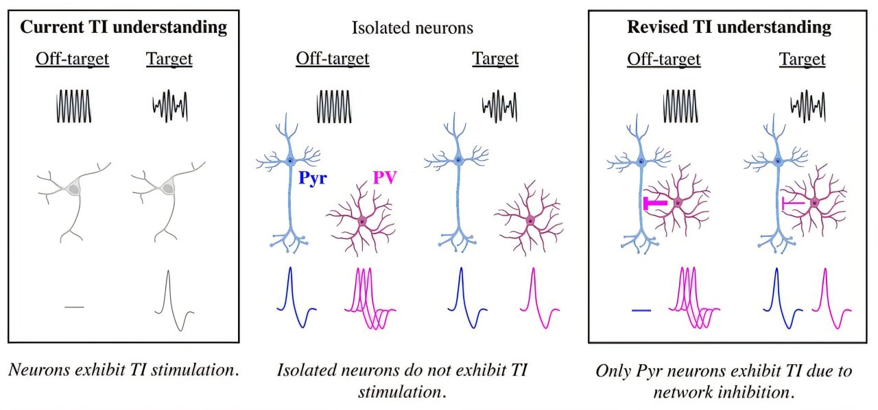 Understanding the neural mechanisms and limitations of a technique for ...