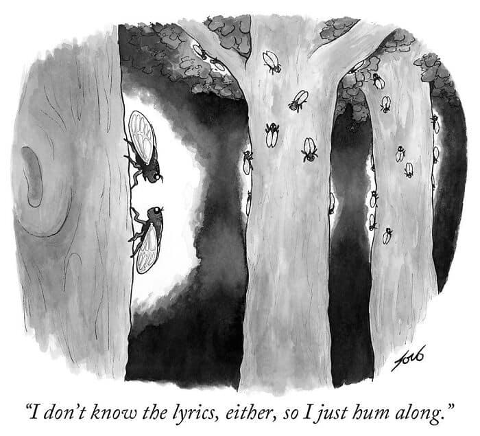 30 Sharp And Witty Single-Panel Comics By New Yorker Cartoonist Tom Toro