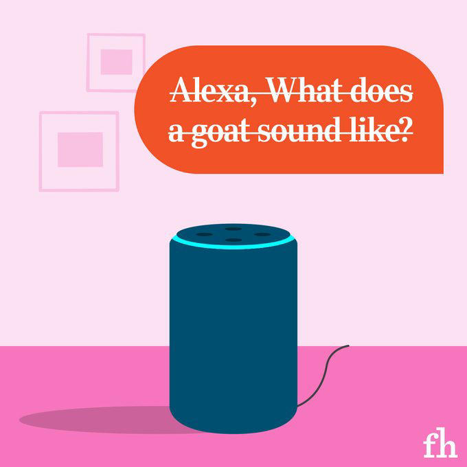 Never ask Alexa these 10 things