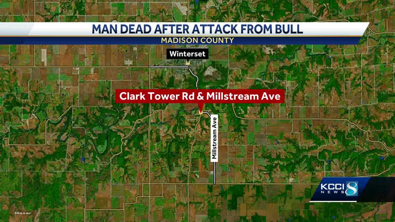 Iowa sheriff's office investigates farmer killed in bull attack