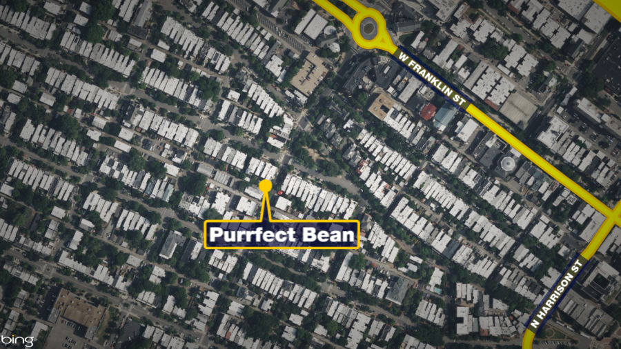 Richmond’s newest cat café to open in mid-August