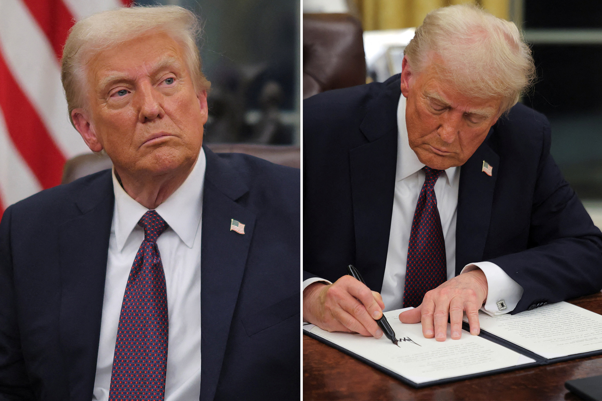 Trump’s executive orders on creating DOGE, nixing birthright ...