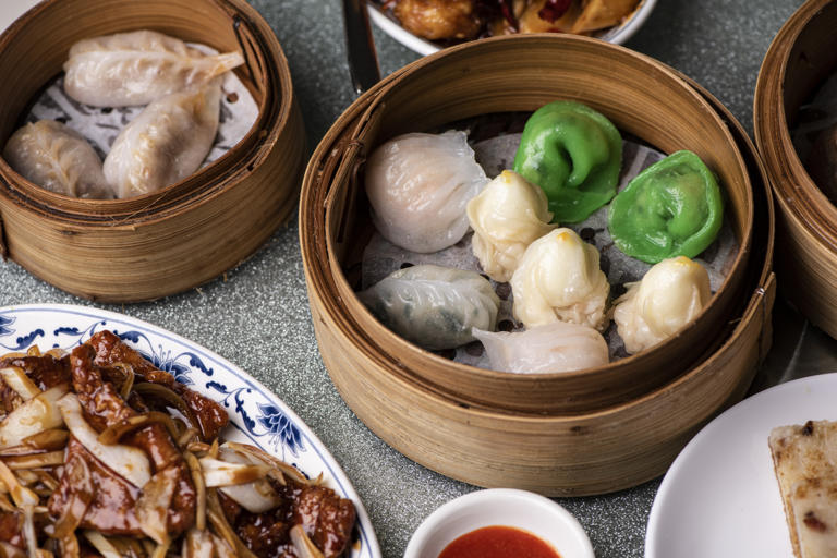 Meet North America’s oldest dino: Found in Wyoming, named in Shoshone ...