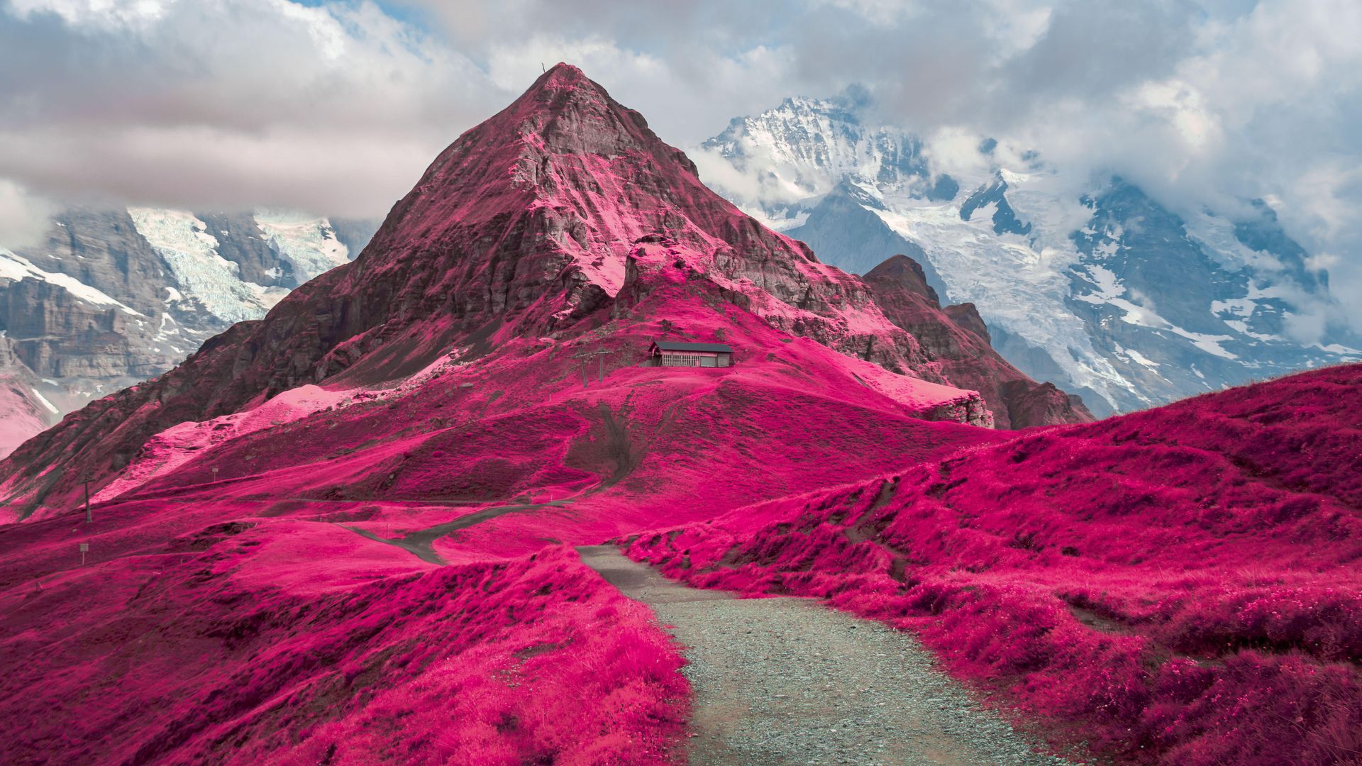 Hidden worlds brought to life in this stunning infrared photography ...