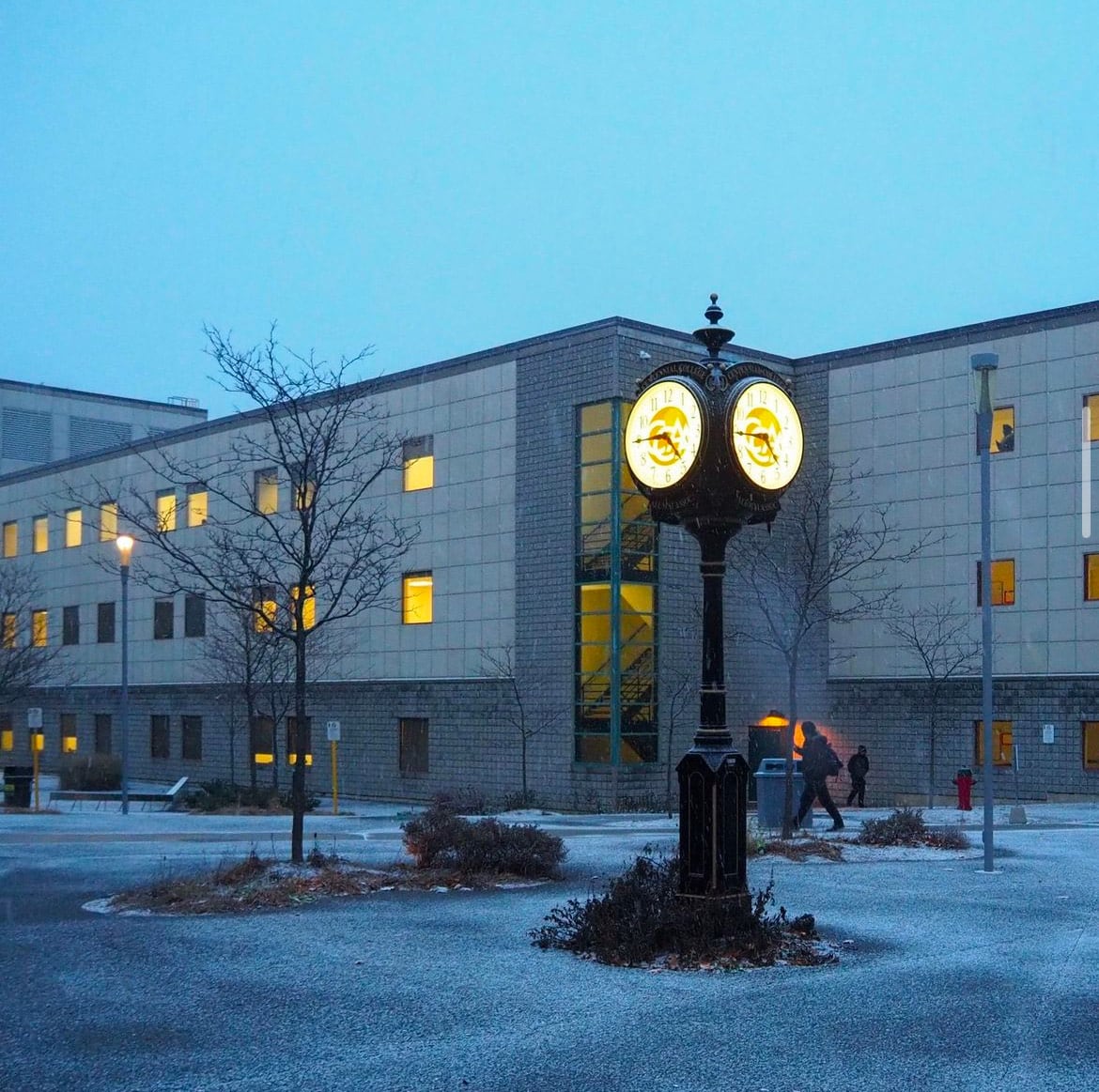 Advocates call for more provincial funding for Ontario colleges to stop ...