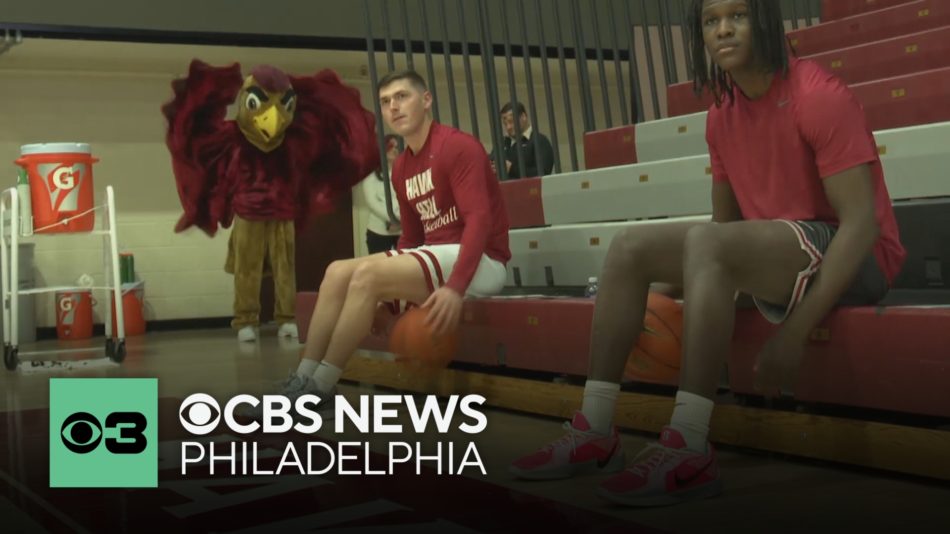How does the St. Joe's Hawk mascot flap his wings 3,500 times a game?