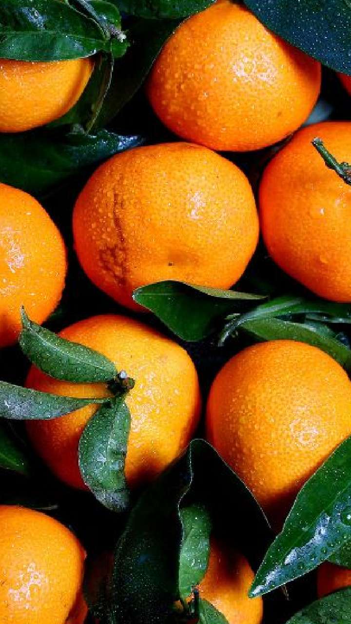 Which State Is The Largest Producer Of Oranges?