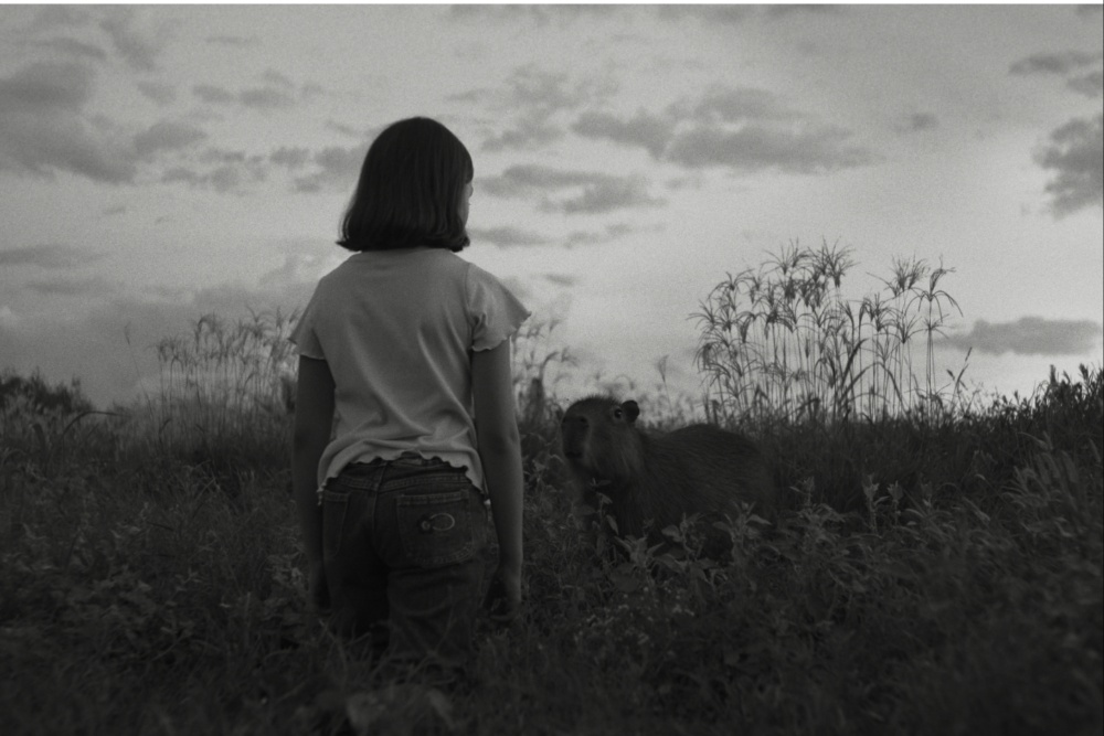 ‘The Message' Review: An Uneventful Drama About a Young Pet Medium