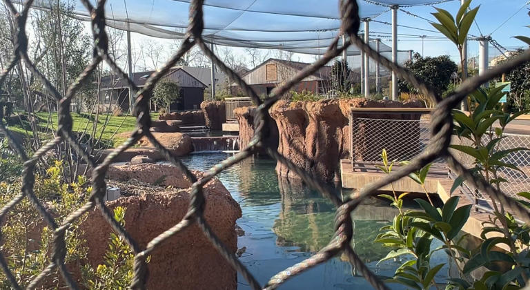 Behind-the-scenes look at the Caldwell Zoo’s newest expansion: Amazon ...