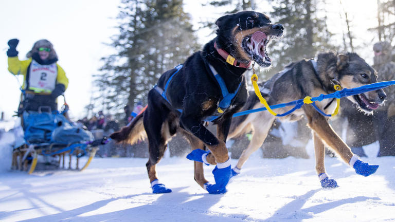 The Sherman Grants Call it Done