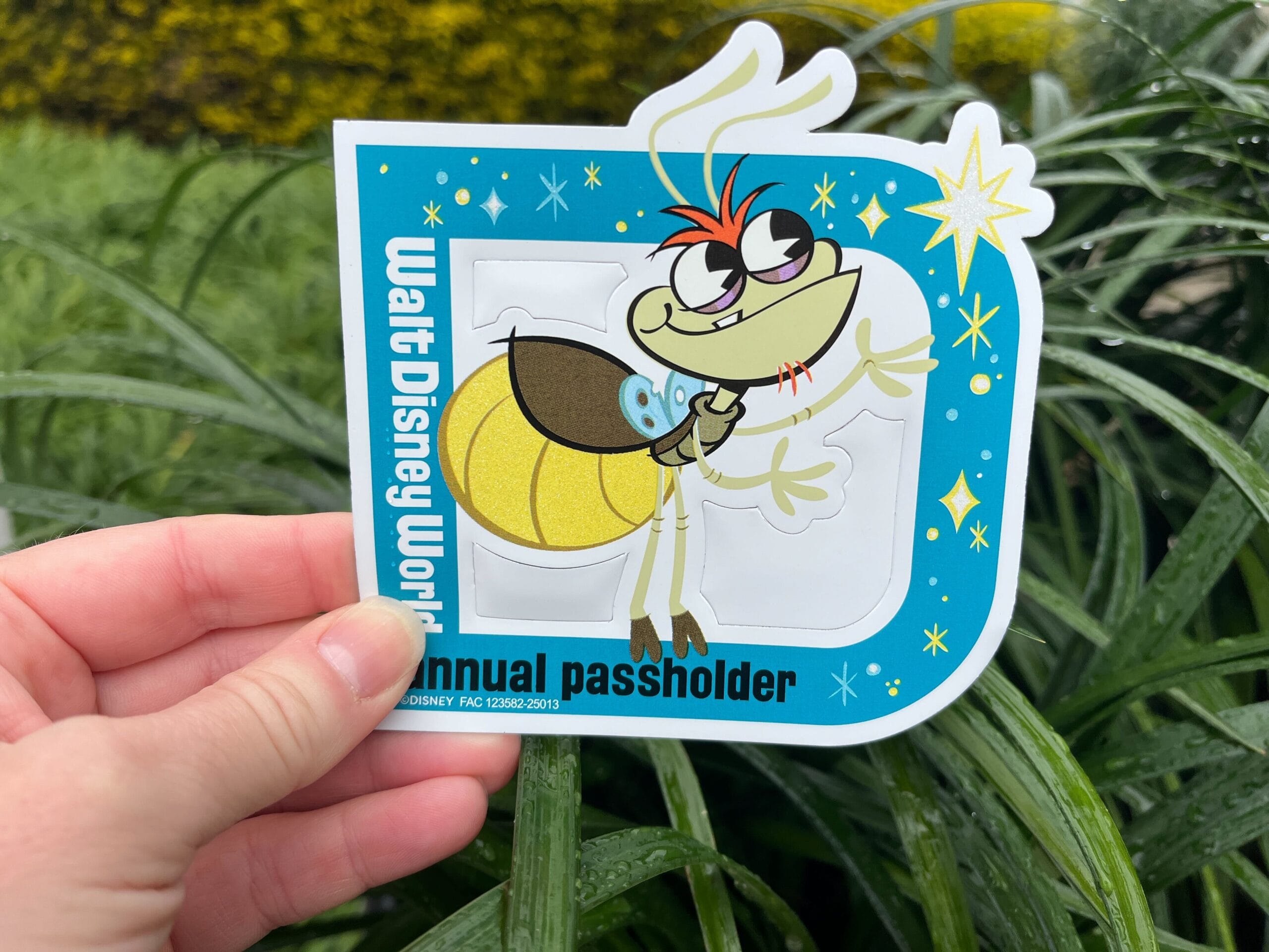 New Free Walt Disney World Annual Passholder Magnet Featuring Ray the ...