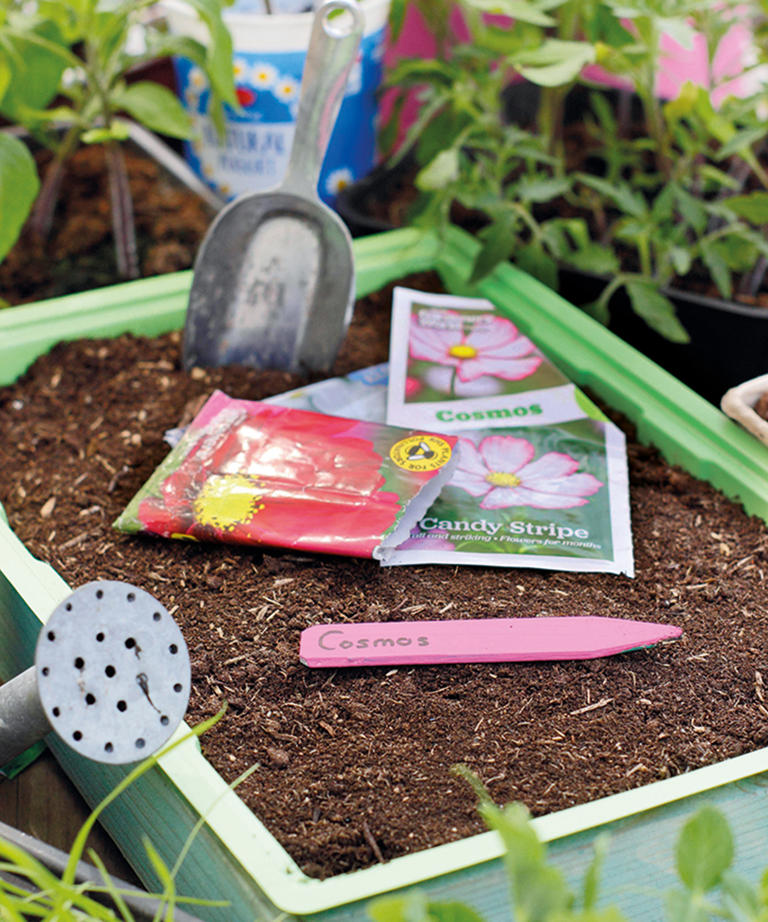 Starting Seeds Indoors Made Easy: Plant Now For More Flowers And Better ...
