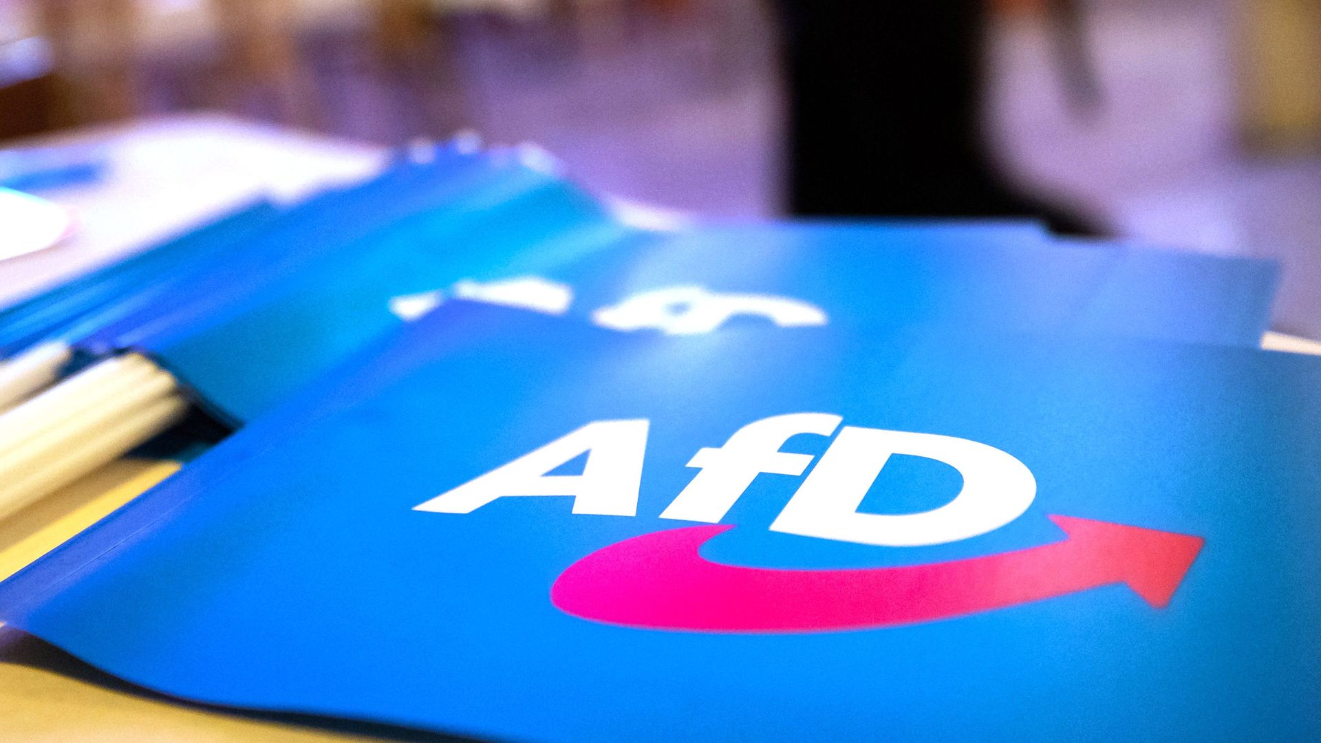AfD erhält Großspende in Höhe von 1,5 Millionen Euro