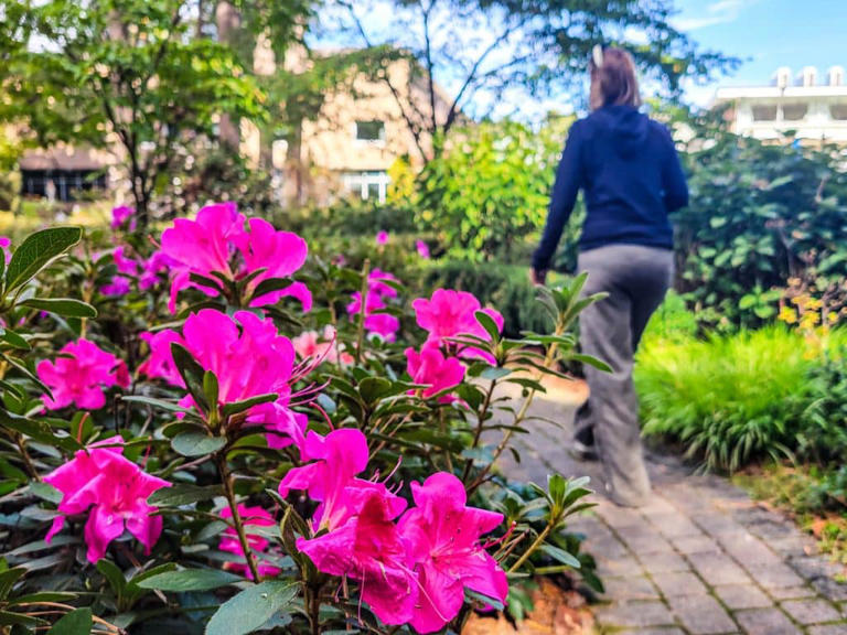 Guide To Visiting WRAL Azalea Gardens (Hidden Gem in Raleigh)