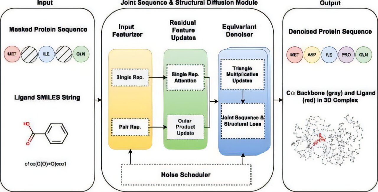 Simplified redesign of proteins can improve ligand binding