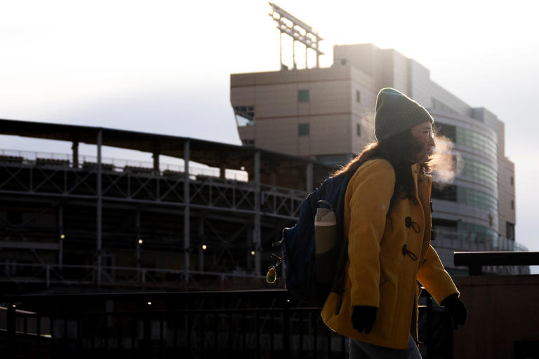 TVA: System is stable amid bitter cold and may set a new power usage ...