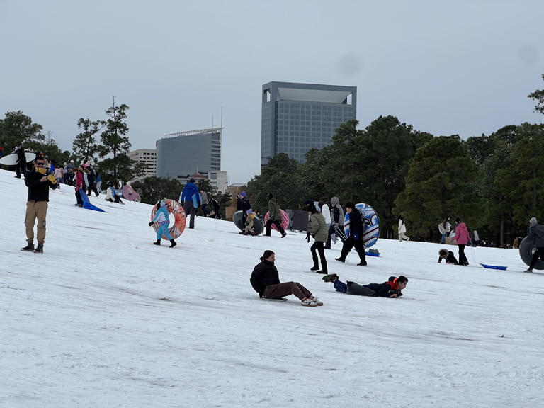 Houston's snow day in pictures