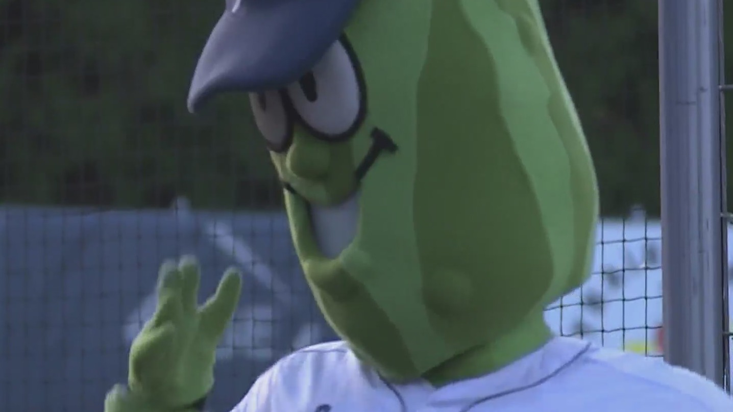 Portland Pickles to kick off new soccer team in Spring 2025