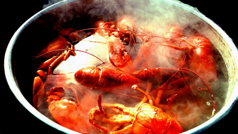 The Failproof Method To Tell When Your Lobster Is Fully Cooked