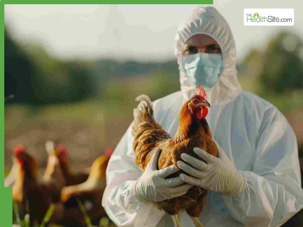 H5N1 Pandemic Alert: CDC Warns of 9 Mutations in Bird Flu Virus Capable ...