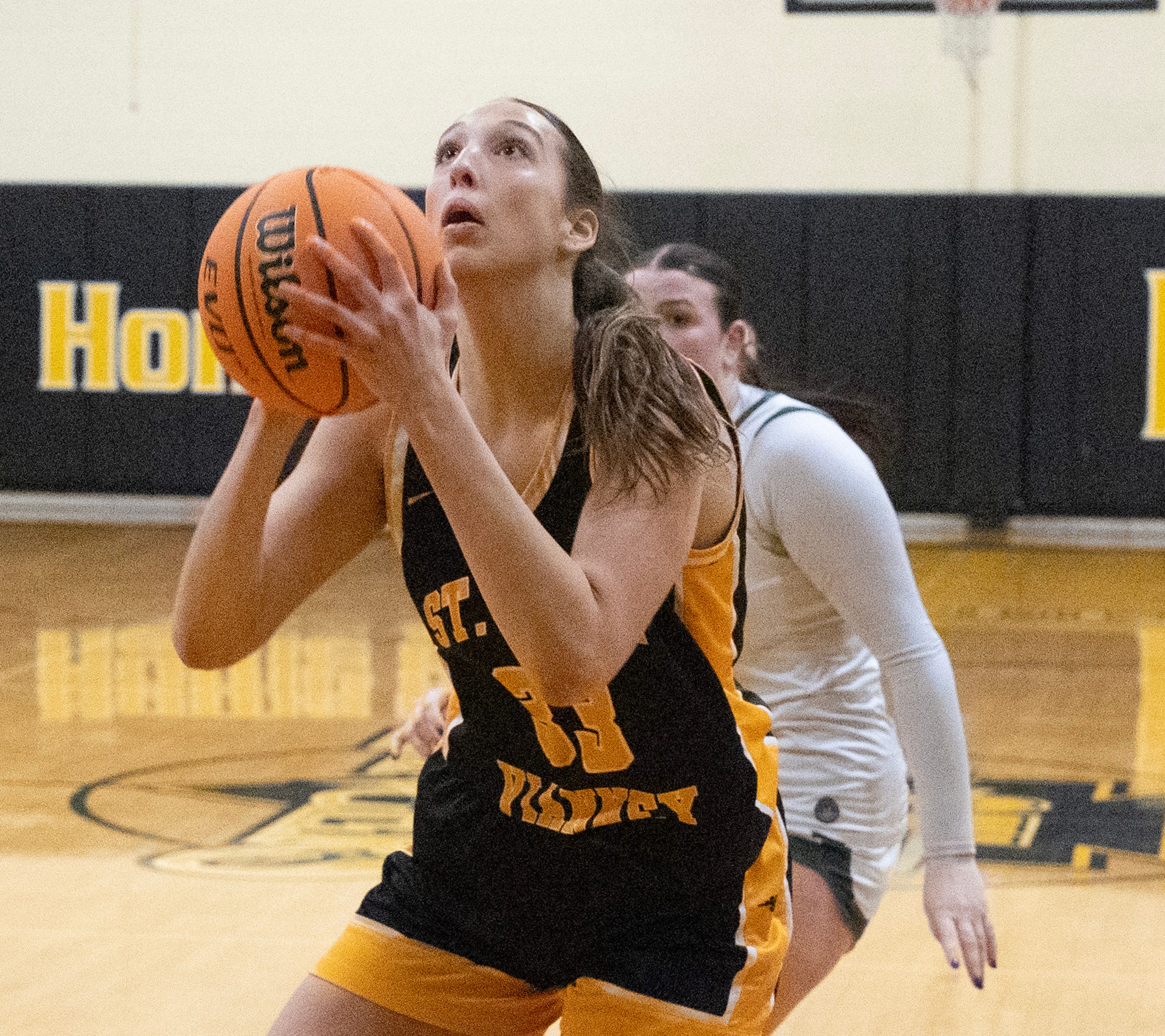 High major-level girls basketball players clash: No. 3 Red Bank ...