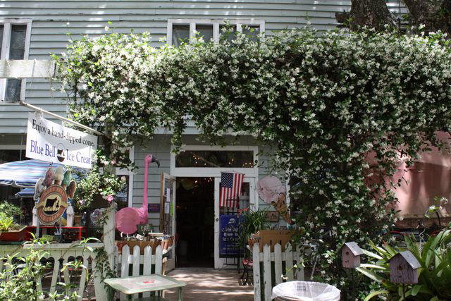 The 8 Best Things To Do In Micanopy, Florida