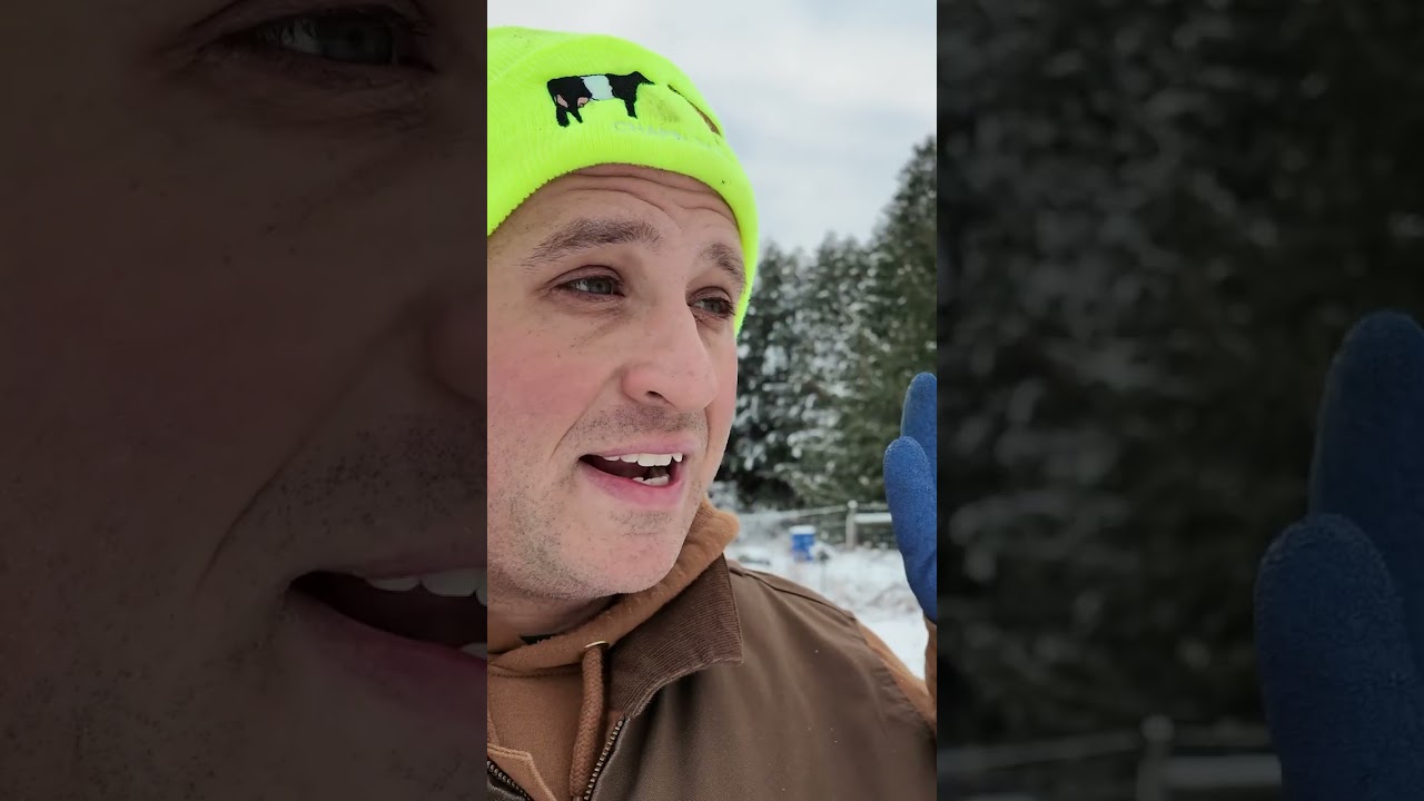 Fox or Coyote? My Big Farm Mistake