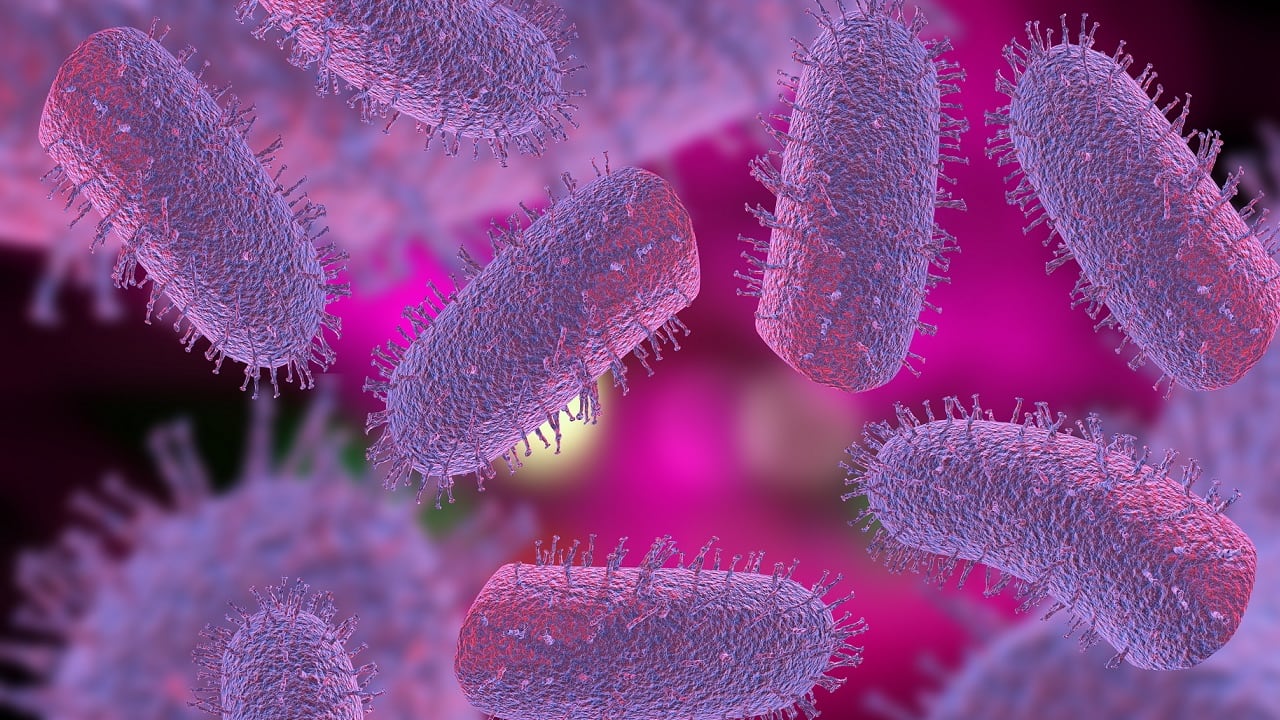 Rabid fox tries to attack person in Lincoln County