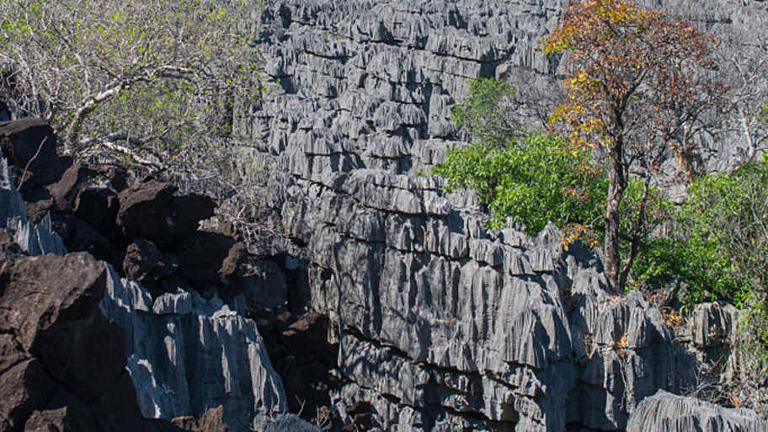 Exploring the lost world of Madagascar